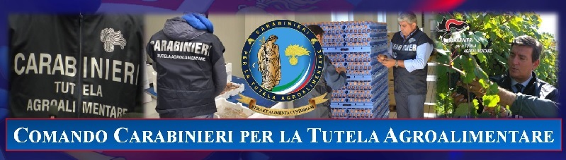 Truffa Allagea Sequestro Preventivo Di Oltre 250 Mila Euro A Carico